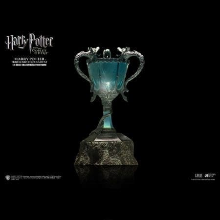 Harry Potter (Triwizard Tournament Version) – Comic Concepts