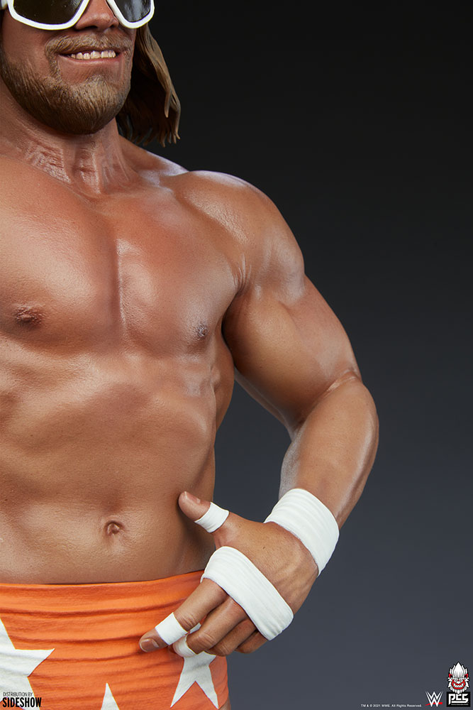 Macho Man Randy Savage - Comic Concepts