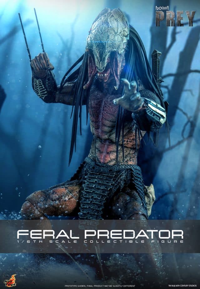 Hot Toys Feral Predator Sixth Scale Figure Predator 1/6 Scale Limited ...