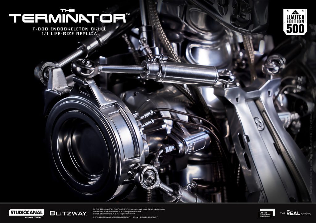 T-800 Endoskeleton Skull Life-Size Replica Bust The Terminator Limited ...